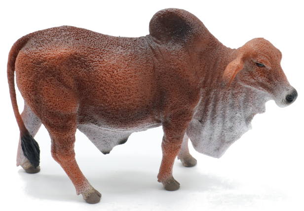 CollectA Red Brahman Bull #88599 - Cool Looking Hump