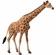 CollectA Wildlife - Reticulated Giraffe #88534 - Patterned
