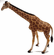 CollectA Wildlife - Reticulated Giraffe #88534 - Patterned