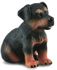 CollectA Dogs - Rottweiler Puppy 88190 - goofy Looking