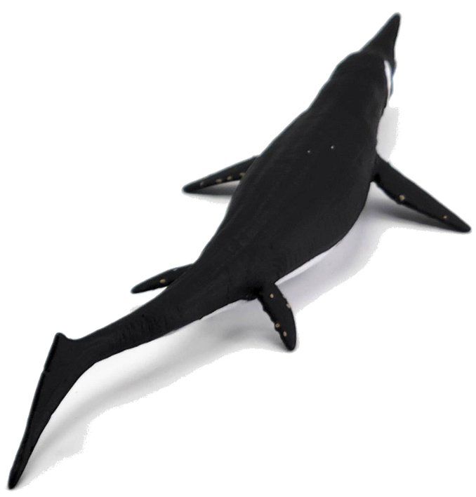CollectA Shastasaurus # 88974 - Sleek and deadly aquatic foe