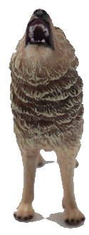 CollectA Timber Wolf - Howling #88844 - Nice Neck Extension