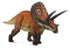 CollectA Dinosaurs - Torosaurus #88512 - Colorful Frill