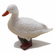 CollectA White Duck #88007 - Nice White Feather Texture