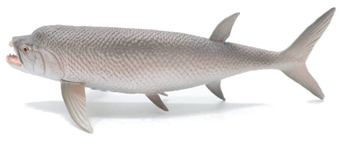 CollectA Xiphactinus Prehistoric Figure #88928 - New 2022