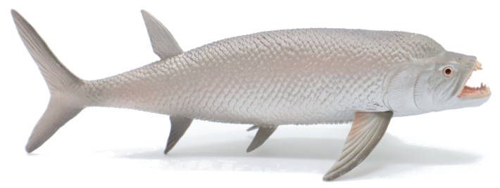 CollectA Xiphactinus Prehistoric Figure #88928 - New 2022