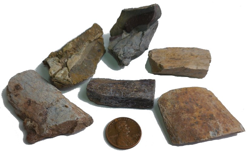 Prehistoric Fossil - Fossilized Allosaurus Bone Fragment