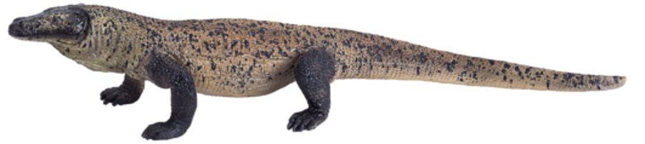 Mojo Komodo Dragon #381011 - Largest, Heaviest Lizard on Earth