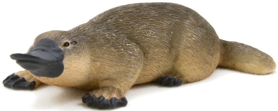 Mojo Duck Billed Platypus #387106 - Odd Looking Mammal