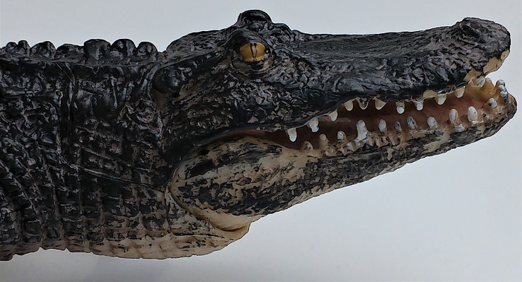 Mojo Alligator with Articulated Jaw #387168 - Jaw Opens