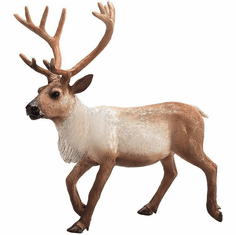 Mojo Online Store - Mojo Wildlife Figures