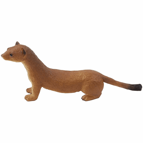 Mojo Stoat #387187 - Cute Breed of Ermine - Playful Figure