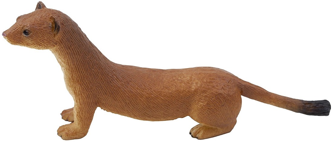 Mojo Stoat #387187 - Cute Breed of Ermine - Playful Figure