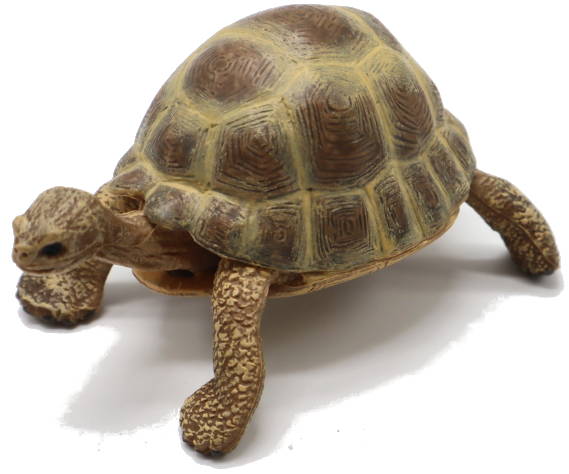 Papo Hermann's Tortoise #50264 - Intricate Shell Details