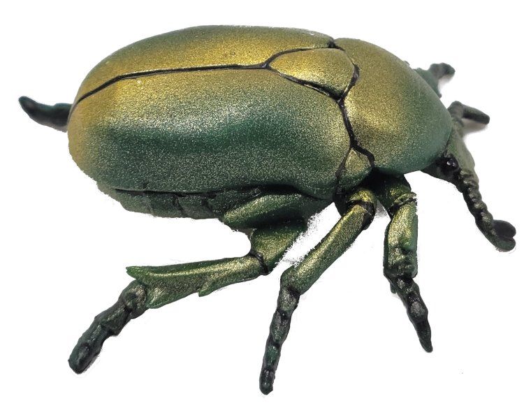 Papo European Rose Chafer #50290 - New in 2023 gorgeous bug