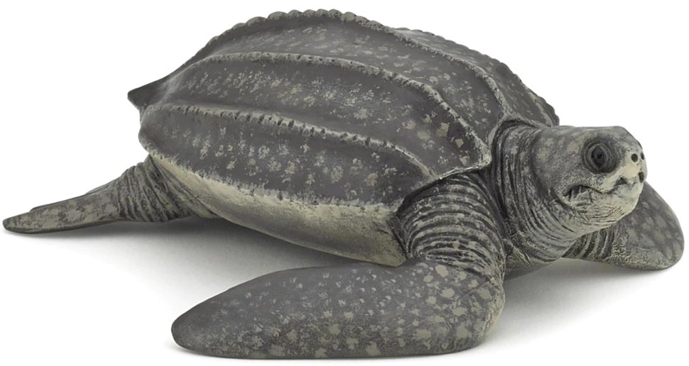 Papo Leatherback Turtle #56022 - Realistic Details