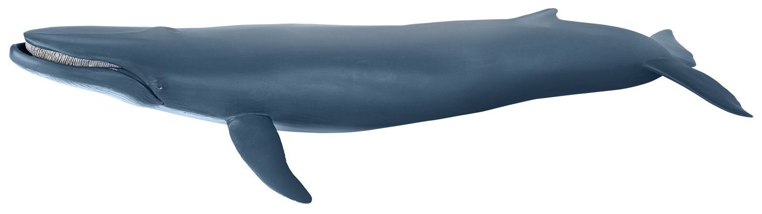Papo Sea Life - Blue Whale #56037 - Features Moveable Jaw