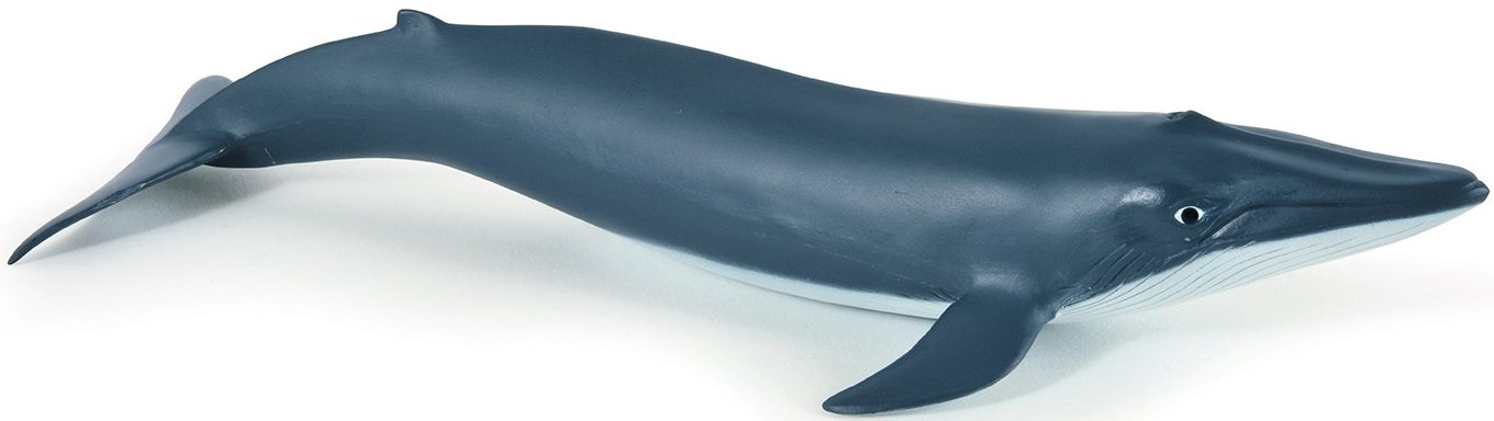 Papo Blue Whale Calf #56041 - Largest Baby of the Sea