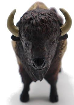 Papo American Buffalo #50119 - Shaggy Coat, Broad Shoulders