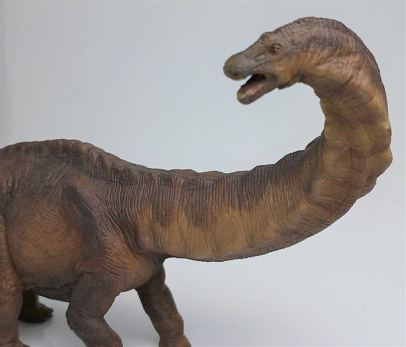Papo Apatosaurus #55039 - Exquisite Details on the LONG tail