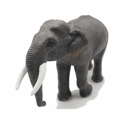 Papo Asian Elephant #50131 - Indicative Twin Dome Head
