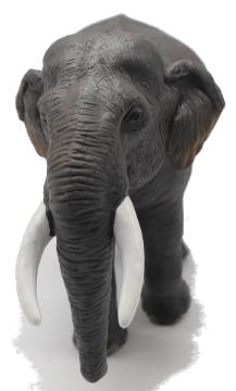 Papo Asian Elephant #50131 - Indicative Twin Dome Head