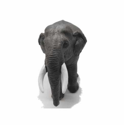 Papo Asian Elephant #50131 - Indicative Twin Dome Head