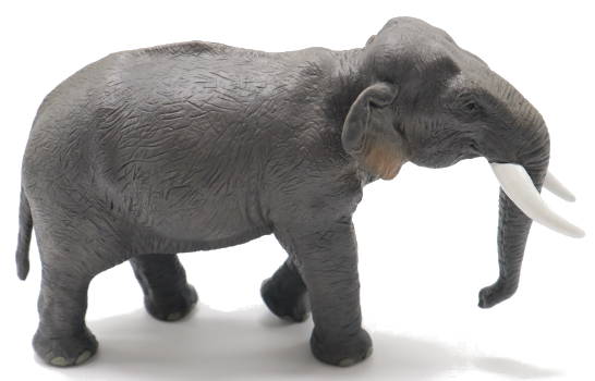 Papo Asian Elephant #50131 - Indicative Twin Dome Head