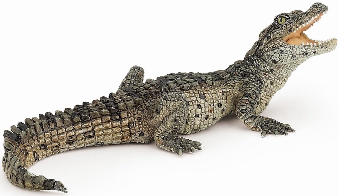 Papo Baby Crocodile #50137 - Realistic texture and etails