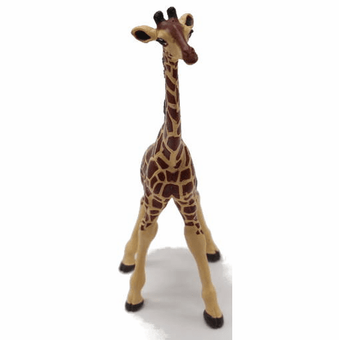 Papo Giraffe Calf #50100 - Just a Baby but Impressive Height