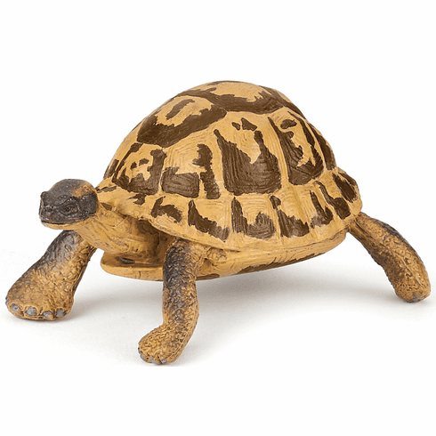 Papo Hermann's Tortoise #50264 - Intricate Shell Details