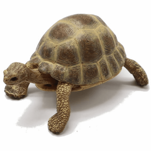 Papo Hermann's Tortoise #50264 - Intricate Shell Details