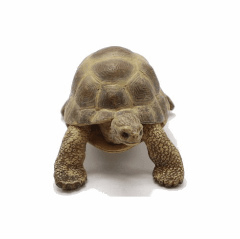 Papo Hermann's Tortoise #50264 - Intricate Shell Details