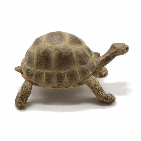 Papo Hermann's Tortoise #50264 - Intricate Shell Details