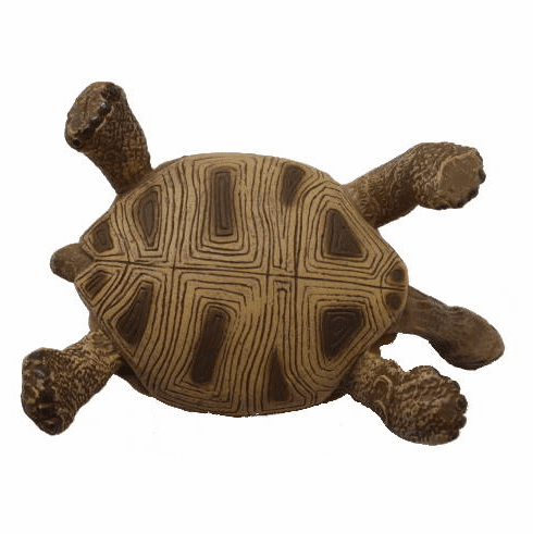 Papo Hermann's Tortoise #50264 - Intricate Shell Details