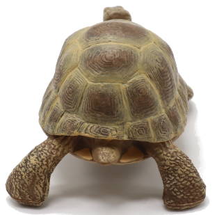 Papo Hermann's Tortoise #50264 - Intricate Shell Details