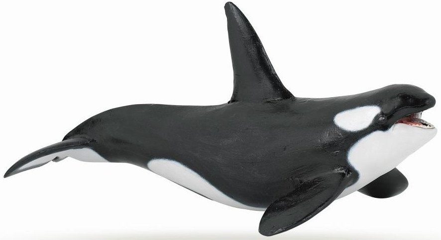 Papo Sea Life - Papo Killer Whale by Papo 56000