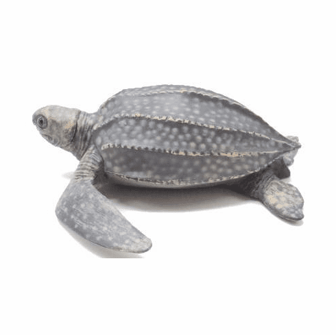 Papo Leatherback Turtle #56022 - Realistic Details