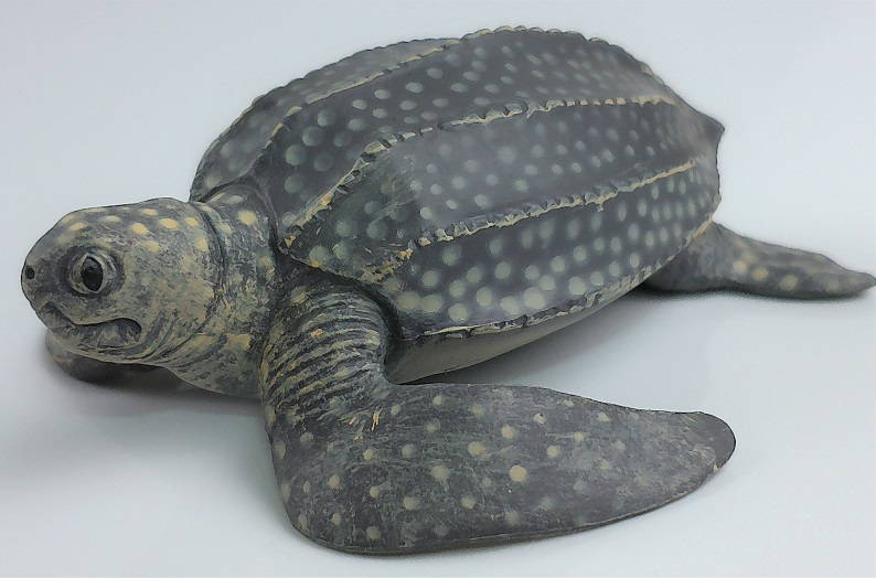 Papo Leatherback Turtle #56022 - Realistic Details
