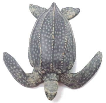 Papo Leatherback Turtle #56022 - Realistic Details