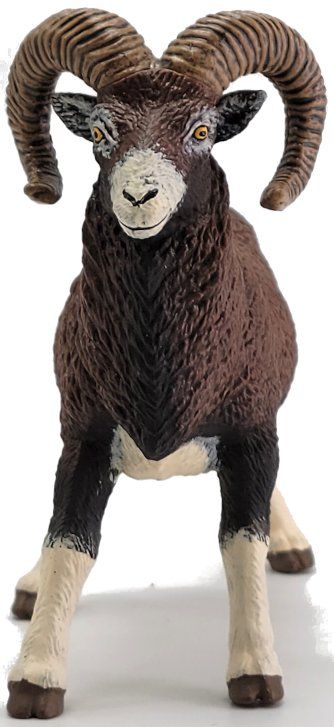 Papo Mouflon #53018 - New in 2023 big ribbed horns