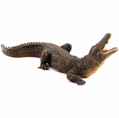 Papo Wildlife - Zoologist designed attention to detail