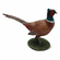 Papo Birds - Pheasant #50263 - Mounted on Green Base