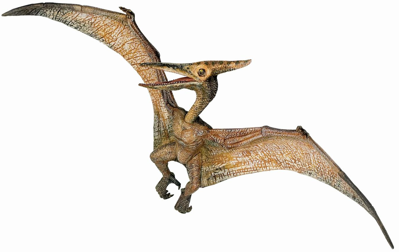 Papo Pteranodon #55006 - Rare Model with Teeth in Mouth
