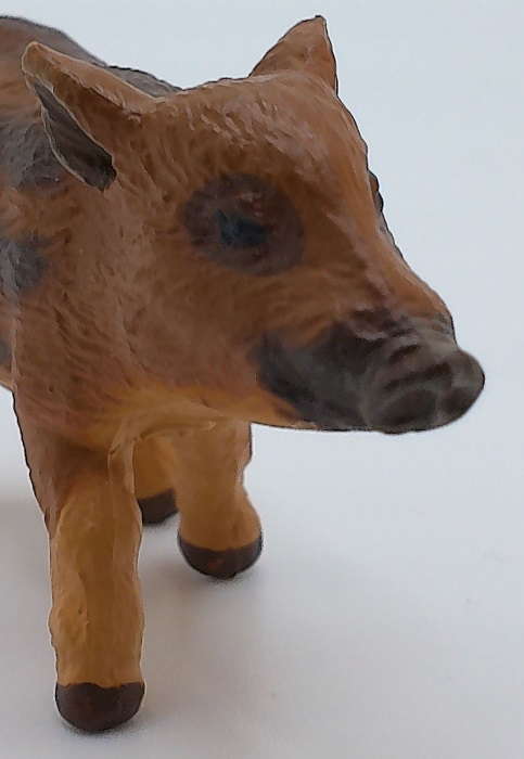 Papo Young Wild Boar #50289 - New from Papo in 2022.