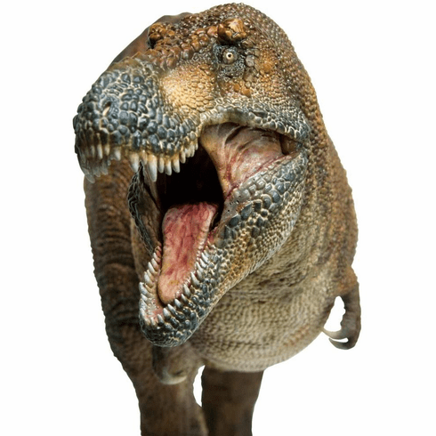 PNSO Wilson The T-Rex - Dinosaur Museum Series, 2020 Version