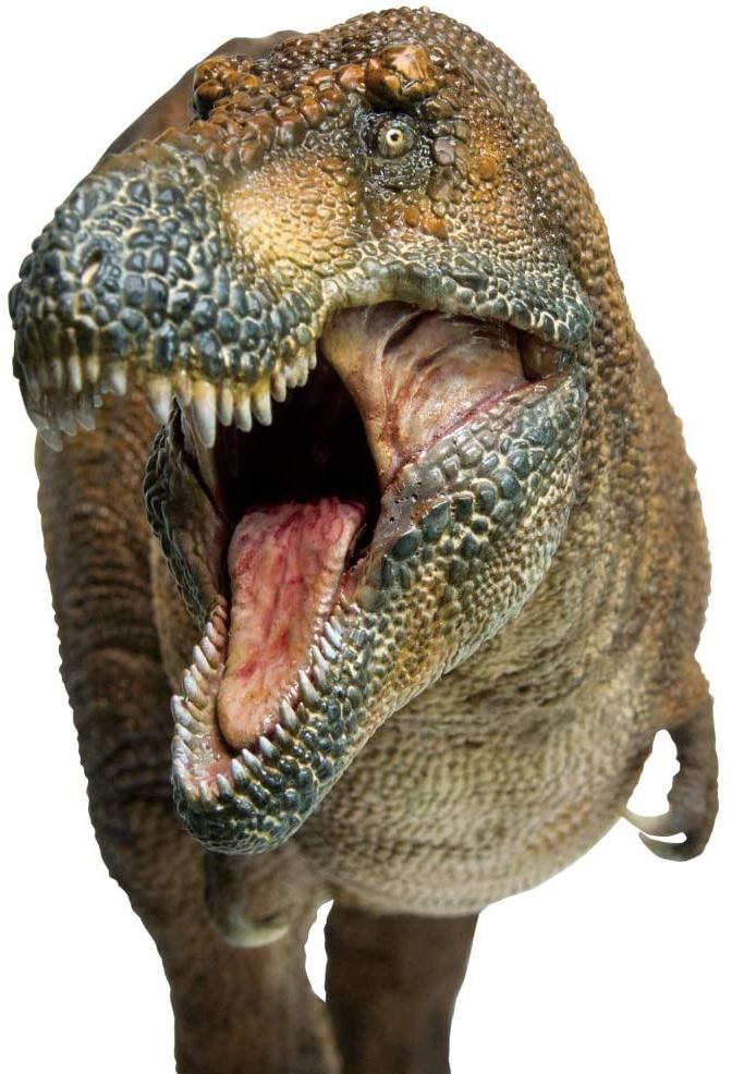 PNSO Wilson The T-Rex - Dinosaur Museum Series, 2020 Version