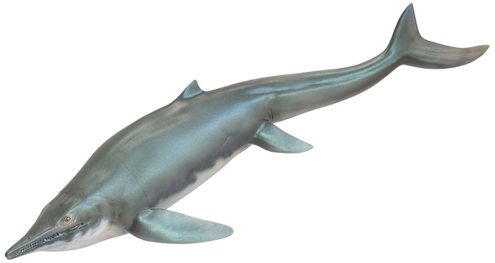 PNSO Tucson the Himalayasaurus #55 - Dinosaur Museum Series