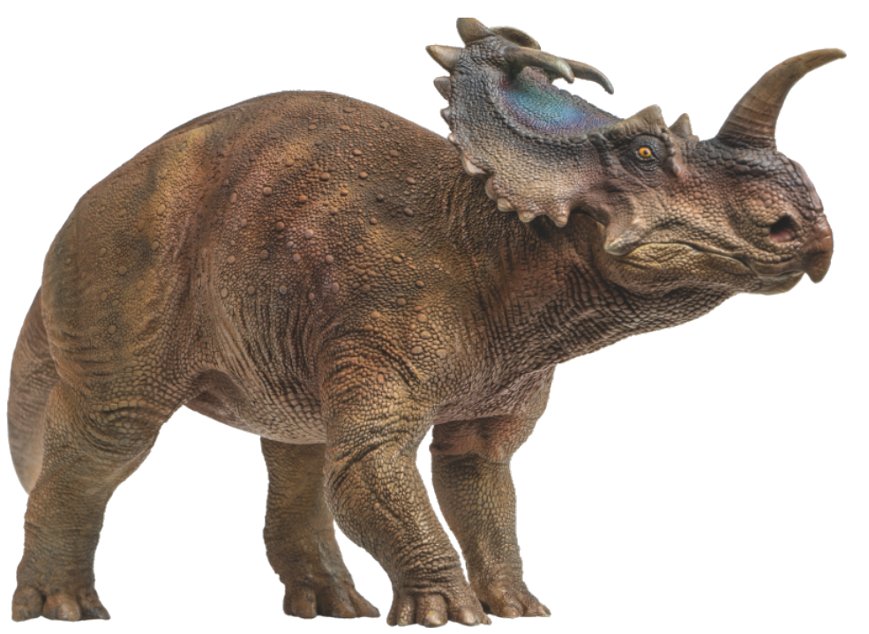 Centrosaurus