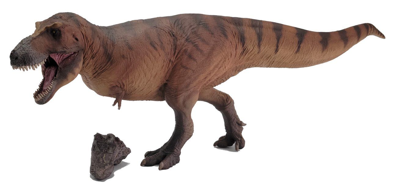 PNSO Cameron the Trannosaurus Rex Scientific Art Model #100